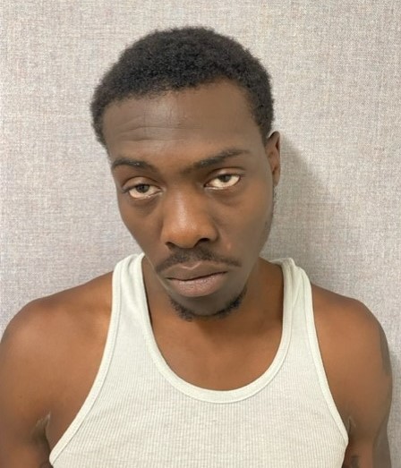 Suspect Arrested and Charged With Armed Carjacking and Firearm Use in a Violent Felony - The ...